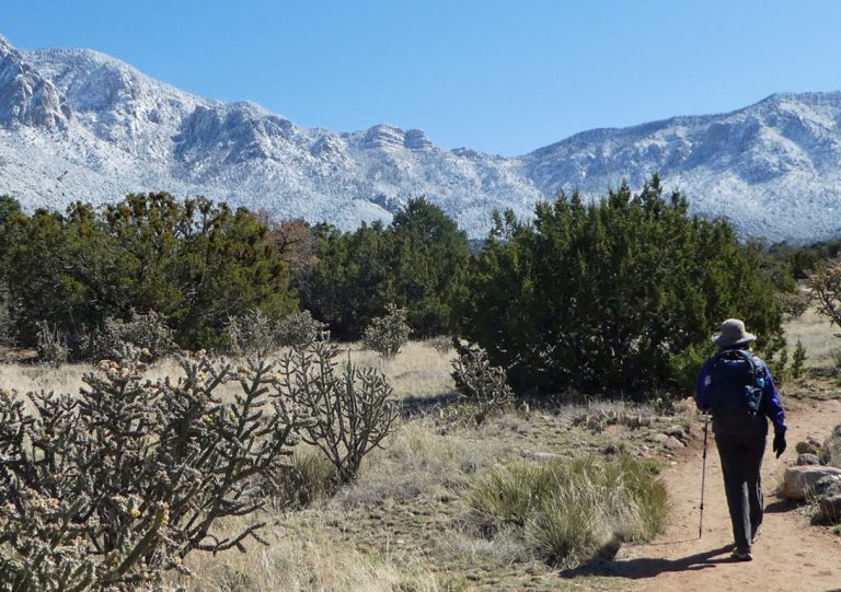 Must-See Hikes in Albuquerque: Between the Desert and the Mountains ...